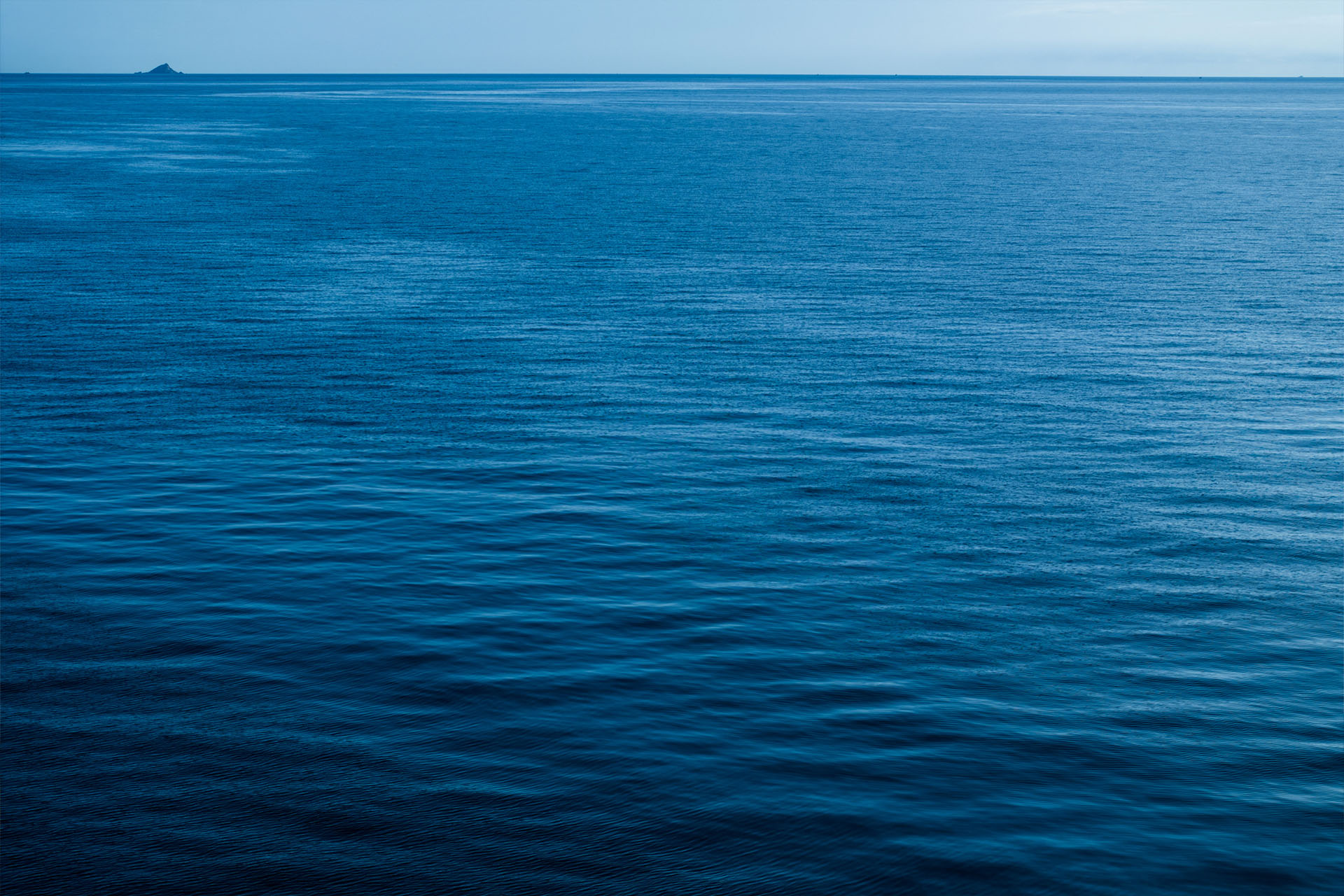 Food & Beverage – APANI